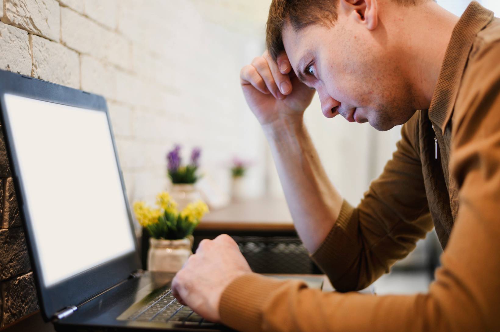 Solve Wordpress Errors With Wp Debug Modular Ds