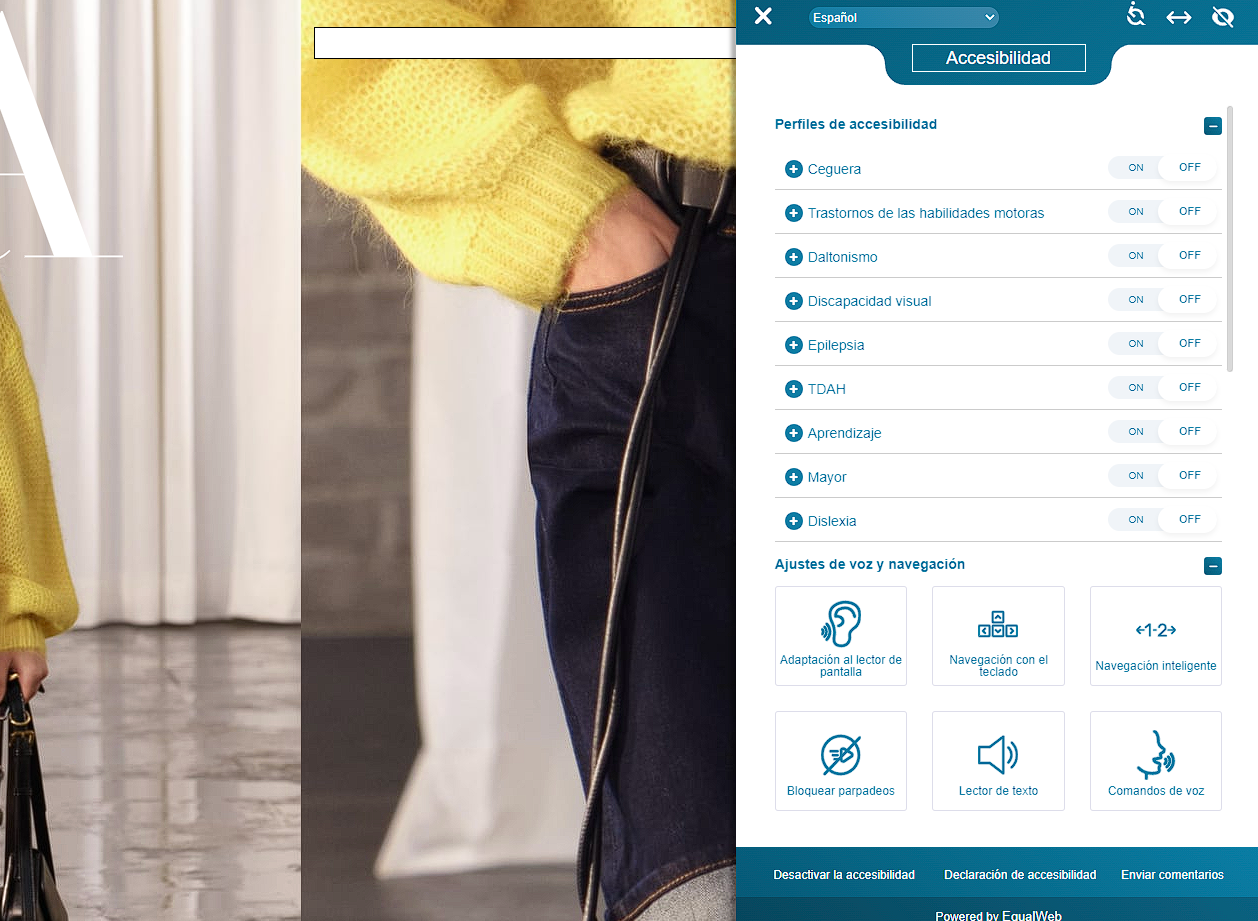 Mejores plugins de accesibilidad para WordPress en 2024 | Modular DS