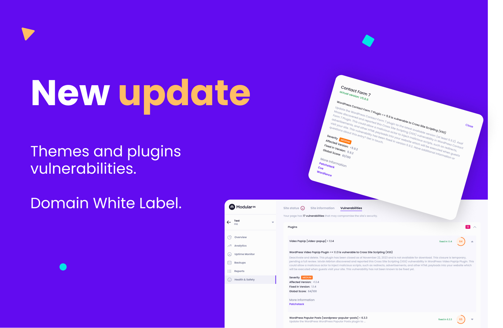 April 2024 Update: Vulnerabilities and Domain White Label | Modular DS