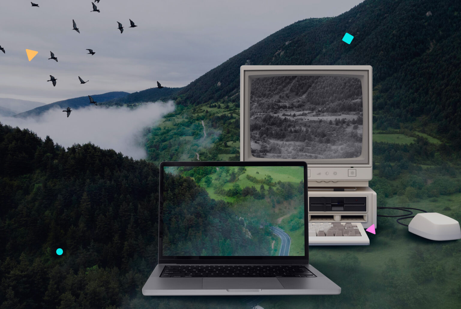 Solucionar errores comunes al instalar plugins o temas en WordPress ...