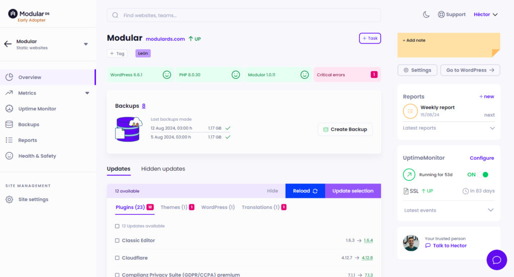 The best alternative to ManageWP | Modular DS