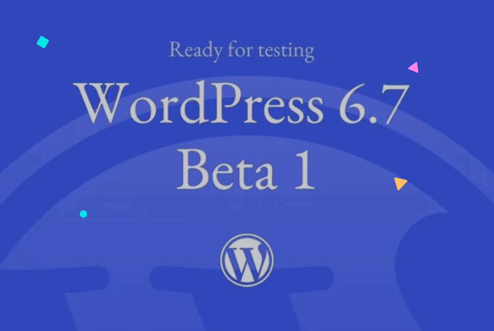 New WordPress 6.7 Beta 1: A glimpse of what to expect | Modular DS
